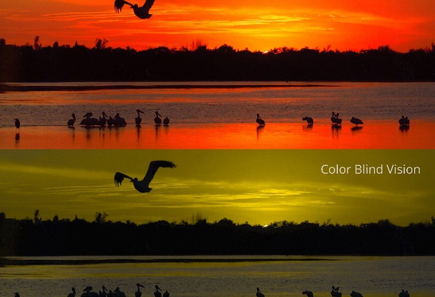 3 Tourist Attractions Get Scenic Viewing Technology for Those with ...