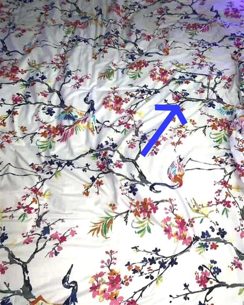 An Optical Illusion for the Optically Inclined: Find the Hidden Pair of ...